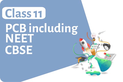 Class 11- CBSE- PCB including NEET